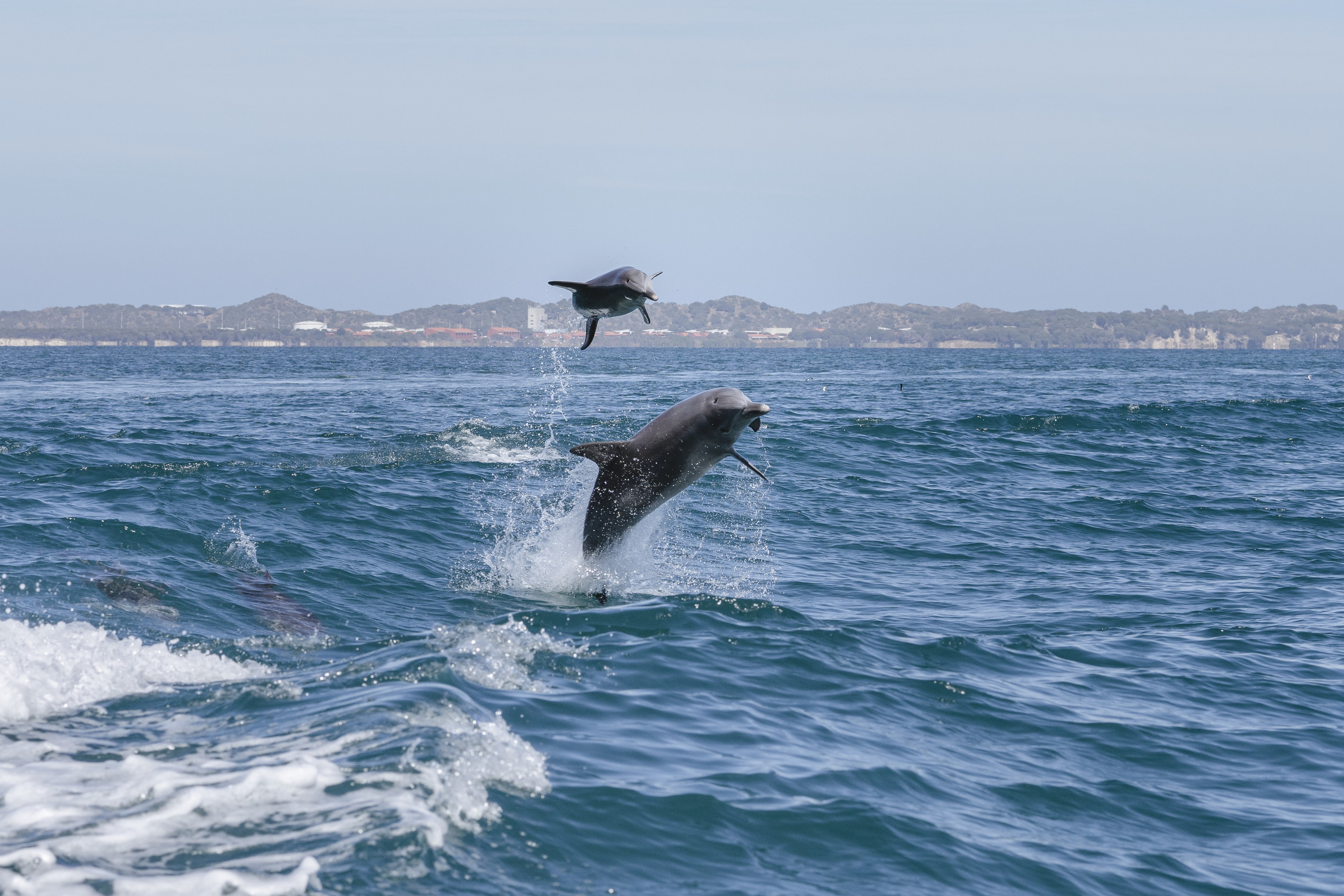 WA Holiday Guide - Search Results